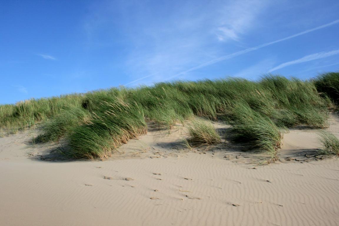 Cadzand kennen - Cadzand-Bad