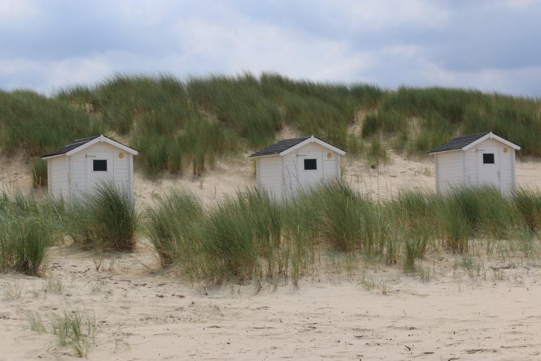 Strand und Dünen - Cadzand-Bad